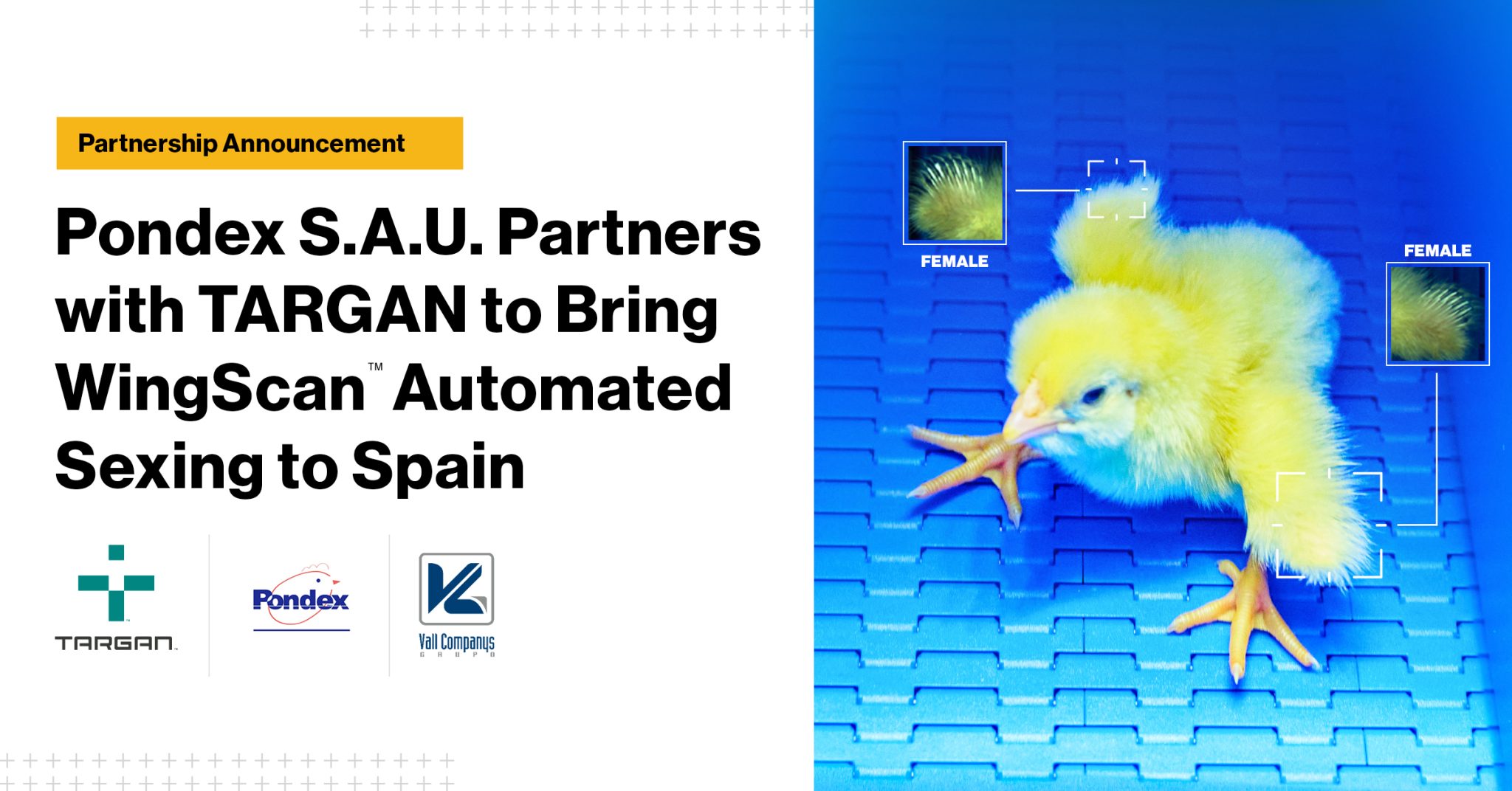 Targan - A Garnett Keeler PR Newsroom